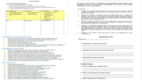 Coaching Documents and Toolkit - Leadership Insights